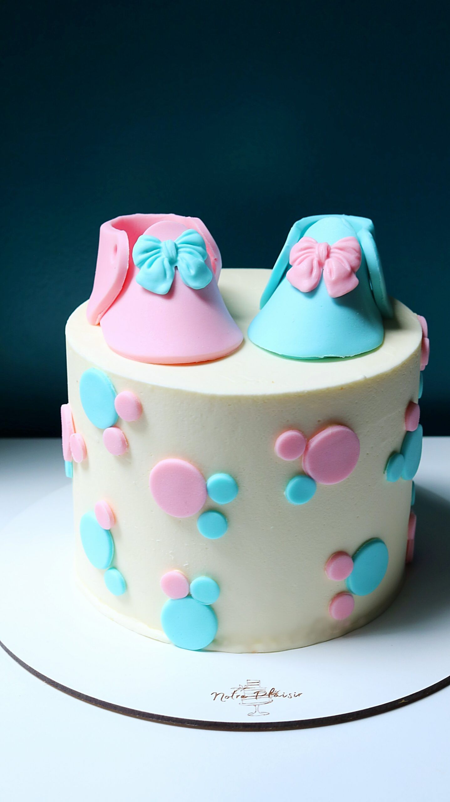 Gateau cake design NOTRE PLAISIR PARIS (22) | NOTRE PLAISIR