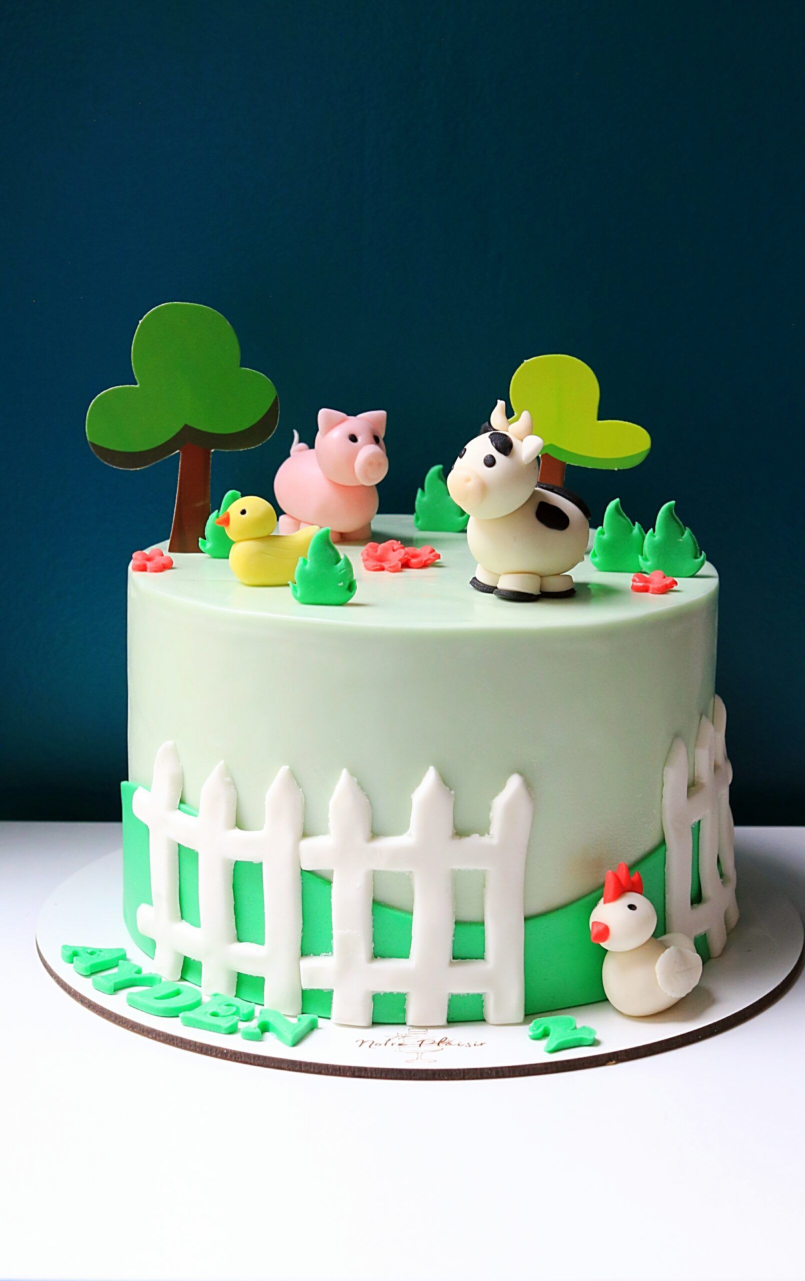 Gateau cake design NOTRE PLAISIR PARIS (31) | NOTRE PLAISIR